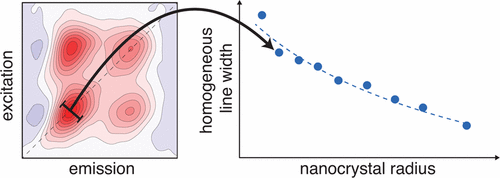 Probing Homogeneous Line Broadening in CdSe Nanocrystals Using ...