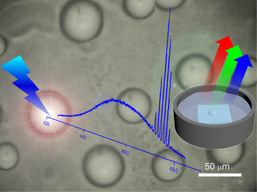 Robust Whispering-Gallery-Mode Microbubble Lasers from Colloidal ...