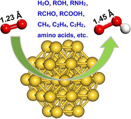Hydrogenation of molecular oxygen to hydroperoxyl: An alternative ...