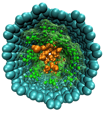 Nano-confinement of biomolecules: Hydrophilic confinement promotes ...