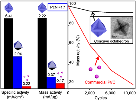 In situ development of highly concave and composition-confined PtNi ...