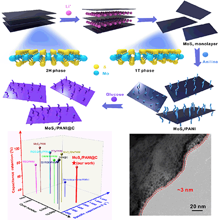 Rational synthesis of carbon shell coated polyaniline/MoS2 monolayer ...