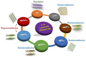 Two-dimensional transition metal dichalcogenides: Clusters, ribbons ...