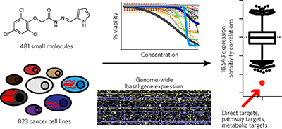 Correlating chemical sensitivity and basal gene expression reveals ...