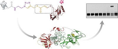 Probes of ubiquitin E3 ligases enable systematic dissection of parkin ...