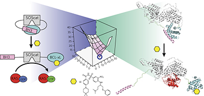 A computationally engineered RAS rheostat reveals RAS–ERK signaling ...