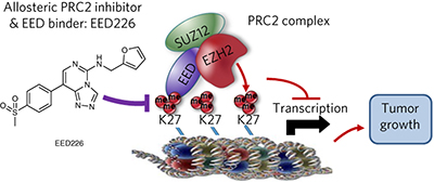靶向EED H3K27me3结合口袋的变构PRC2抑制剂,Nature Chemical Biology - X-MOL
