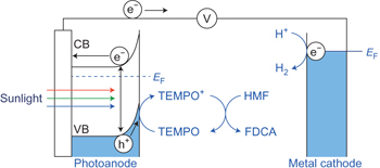 Combined biomass valorization and hydrogen production in a ...