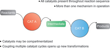 Orthogonal tandem catalysis,Nature Chemistry - X-MOL