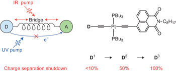 供体-桥-受体组装体中光诱导的电荷转移的振动控制机理,Nature Chemistry - X-MOL
