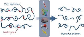 Degradable vinyl polymers for biomedical applications,Nature Chemistry ...