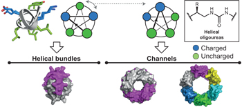 Shaping quaternary assemblies of water-soluble non-peptide helical ...
