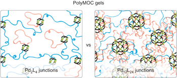 Highly branched and loop-rich gels via formation of metal–organic cages ...