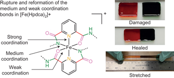 A highly stretchable autonomous self-healing elastomer,Nature Chemistry ...