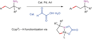 Site-selective C–H arylation of primary aliphatic amines enabled by a catalytic transient ...