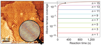 In situ observation of self-assembled hydrocarbon Fischer–Tropsch ...