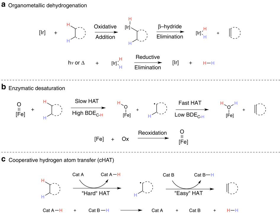 Acceptorless dehydrogenation of small molecules through cooperative ...