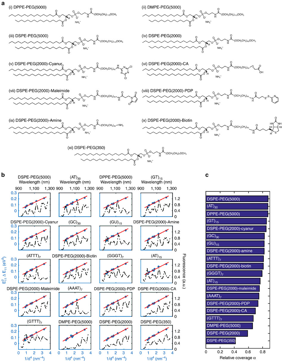 Protein-targeted corona phase molecular recognition.,Nature ...