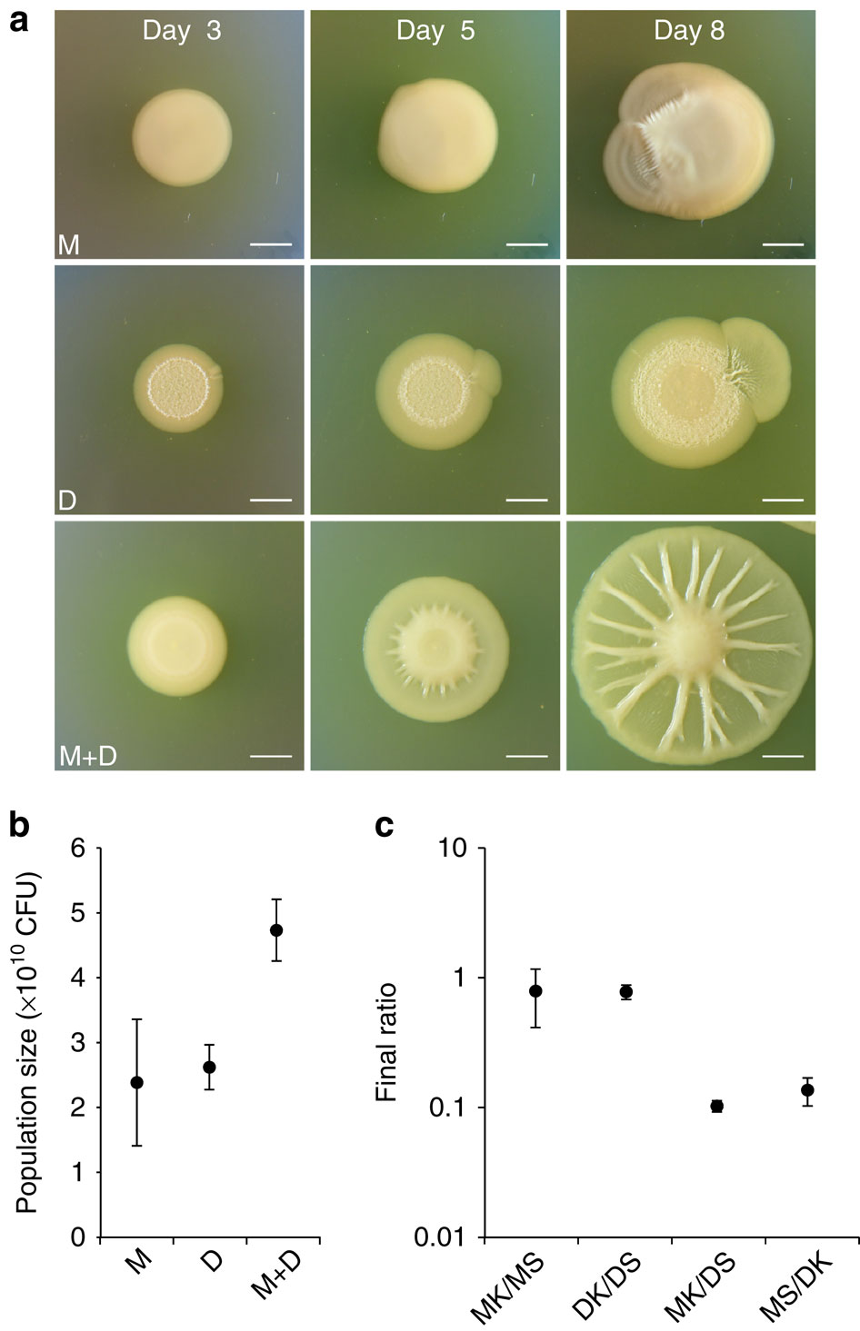 Rapid radiation in bacteria leads to a division of labour.,Nature ...