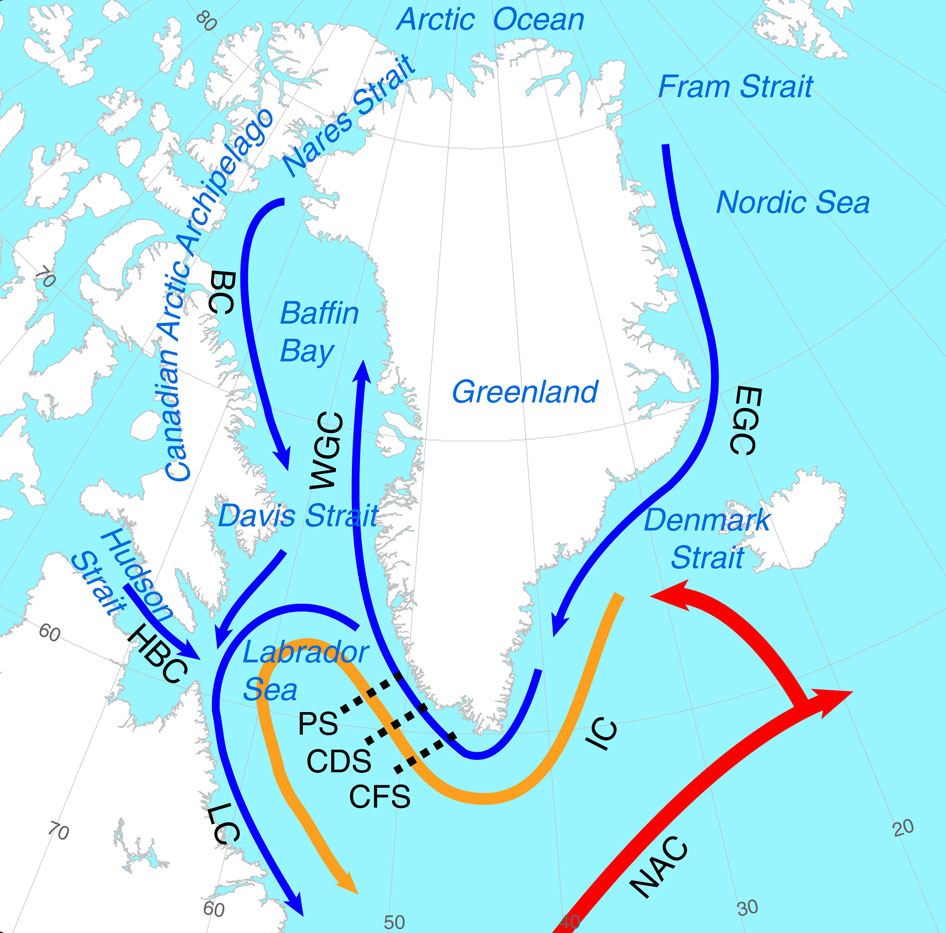 Recent increases in Arctic freshwater flux affects Labrador Sea ...