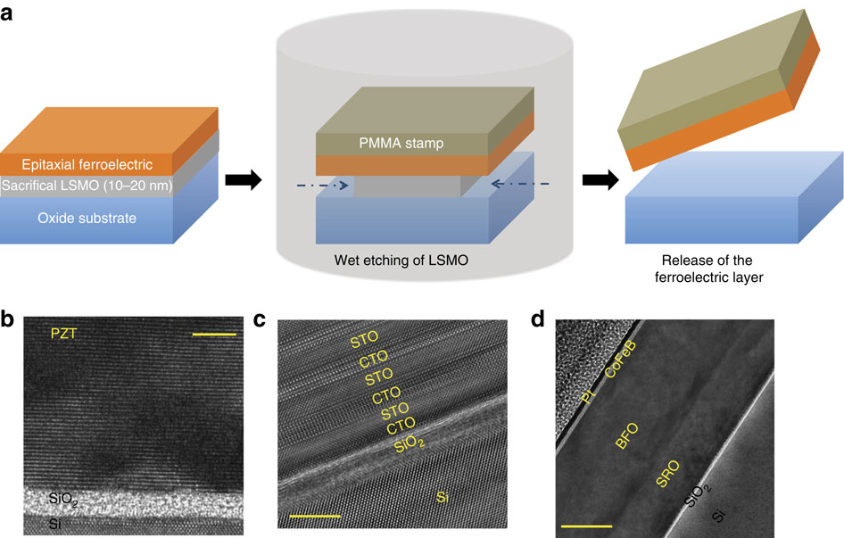Single crystal functional oxides on silicon.,Nature Communications - X-MOL