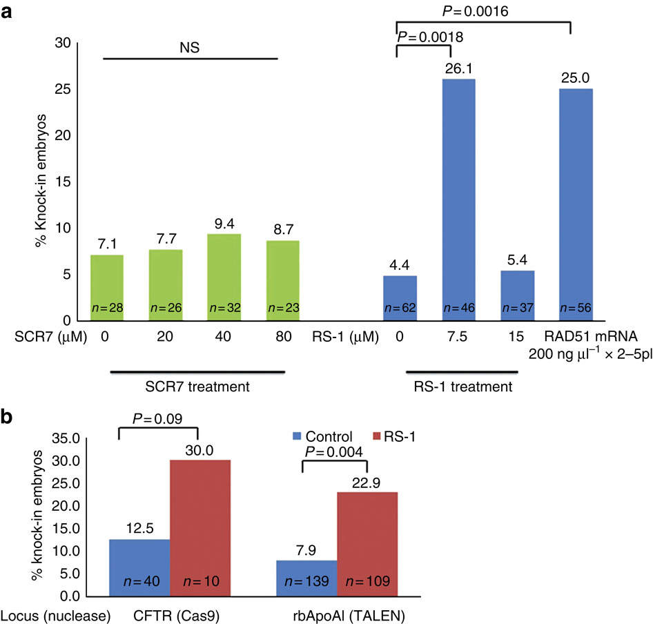 RS-1 enhances CRISPR/Cas9- and TALEN-mediated knock-in efficiency ...