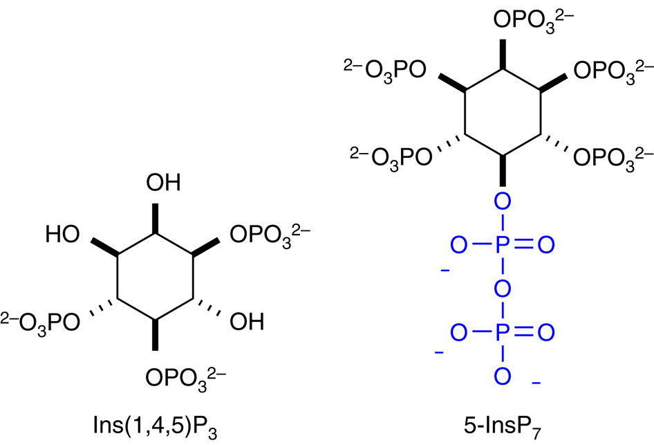 Are Inositol Pyro Phosphates Signalling Molecules? – ARJF