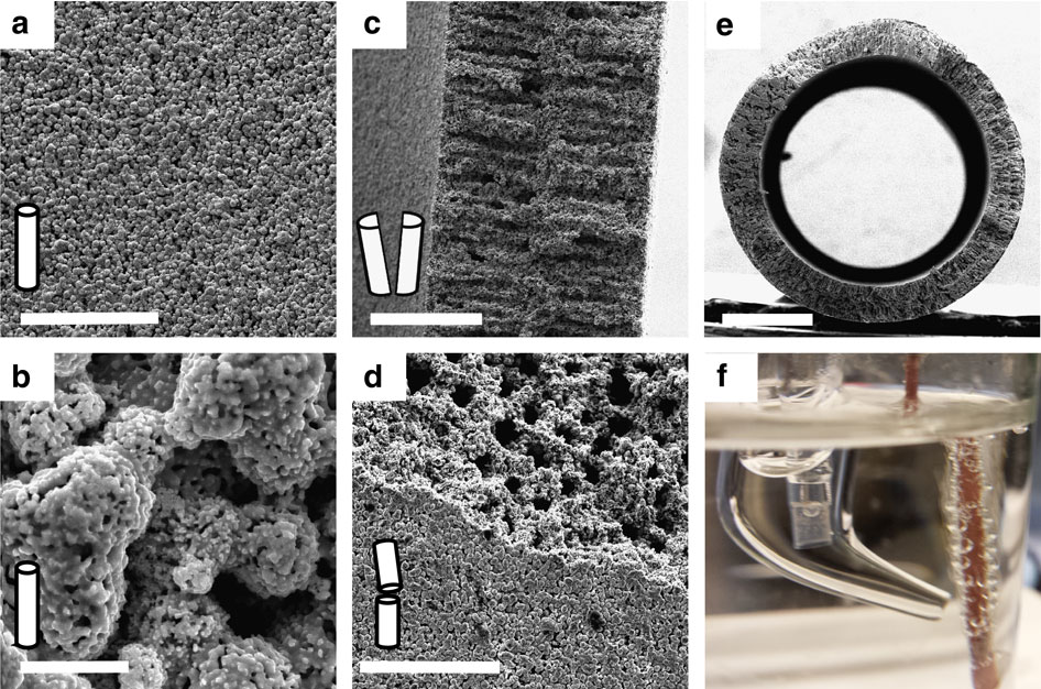 Three-dimensional porous hollow fibre copper electrodes for efficient ...