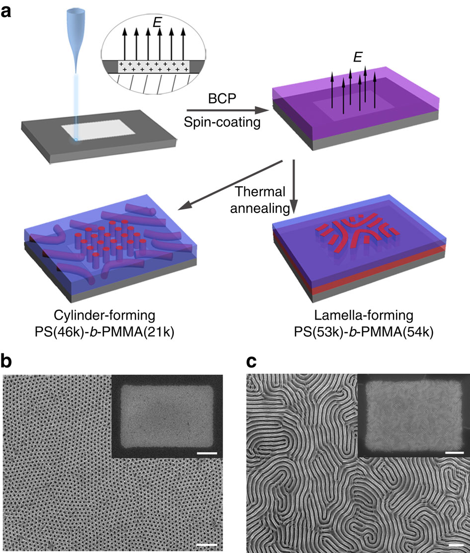 Directed block copolymer self-assembly implemented via surface-embedded electrets.,Nature ...