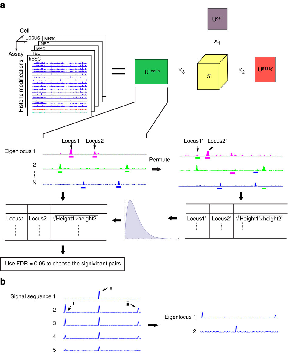 Constructing 3D interaction maps from 1D epigenomes.,Nature ...