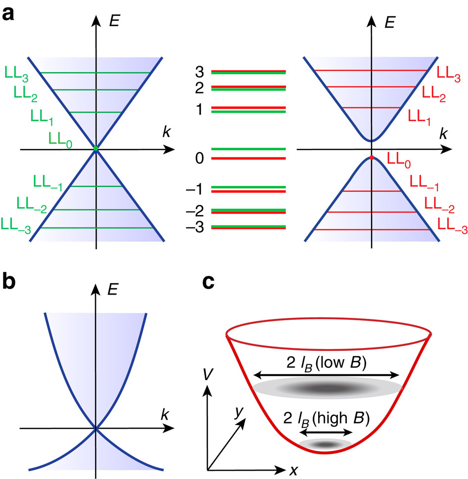 Observation of Zeeman effect in topological surface state with distinct ...