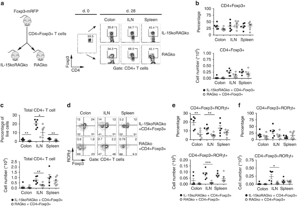 Foxp3 和 RORγt 表达之间的 IL-15 依赖性平衡影响炎症性肠病。,Nature Communications - X-MOL