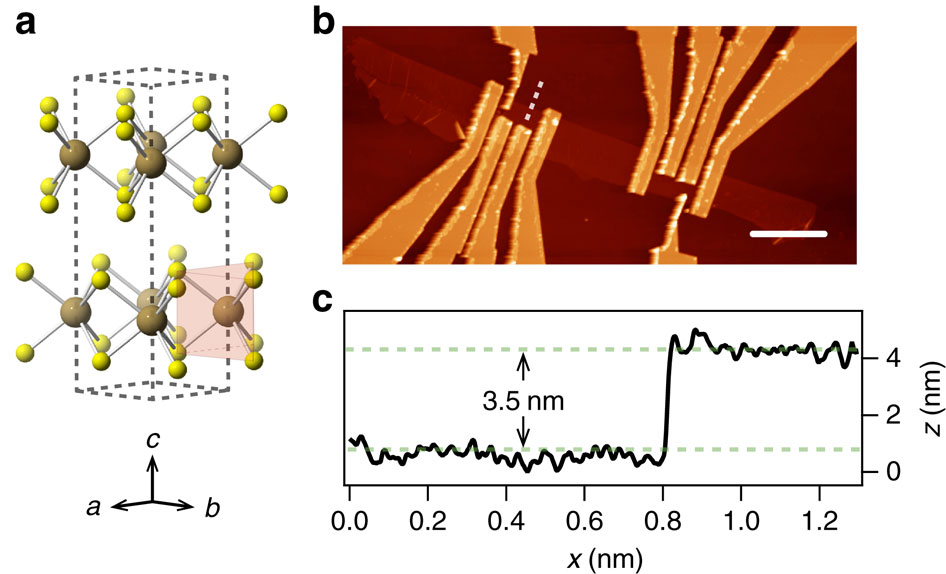 Enhanced superconductivity in atomically thin TaS2.,Nature Communications - X-MOL