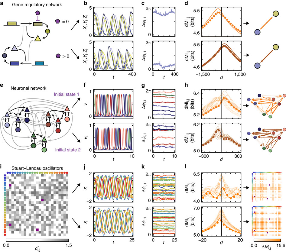 复杂网络中的动态信息路由。,Nature Communications - X-MOL
