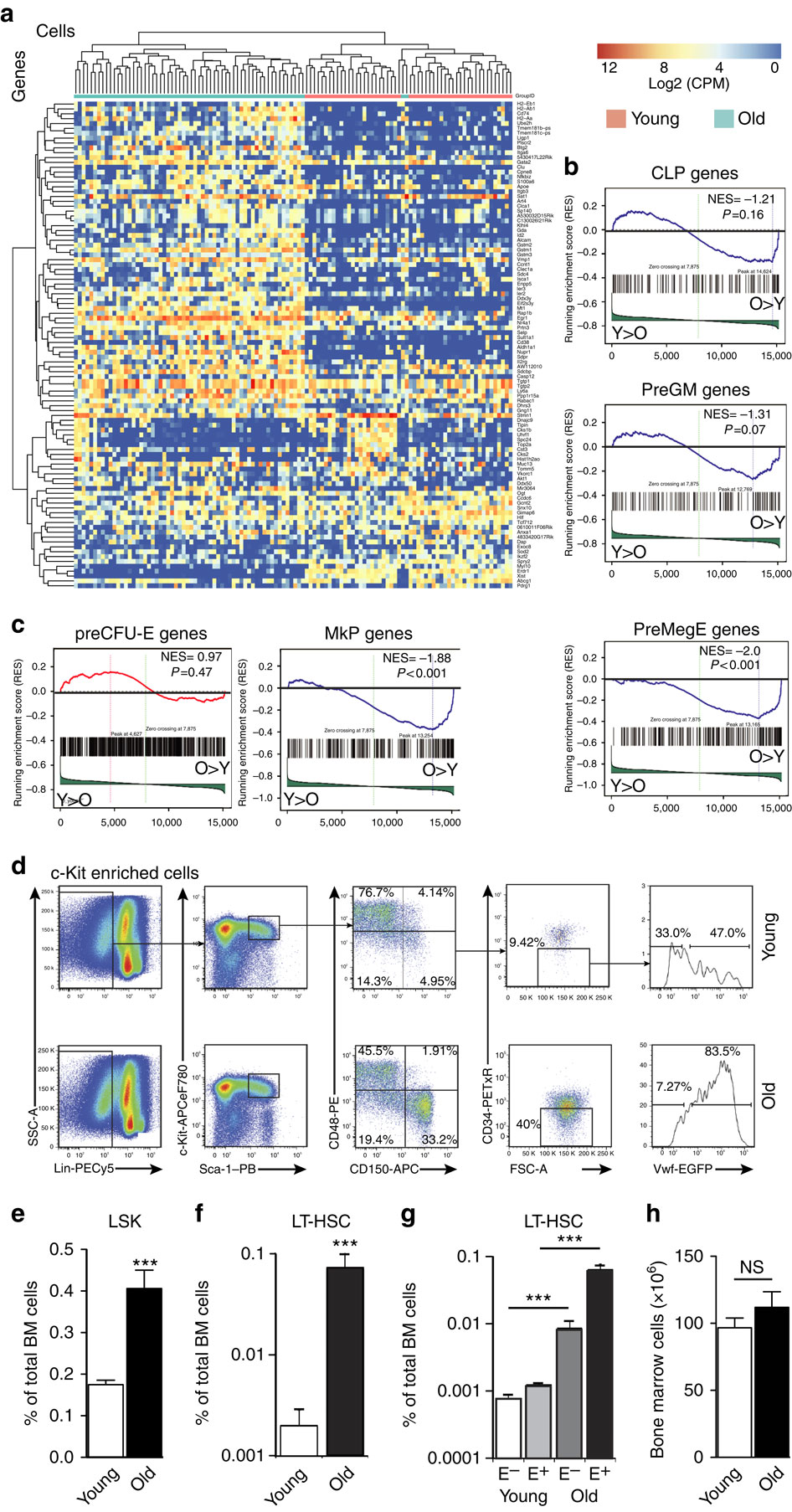 Single-cell RNA sequencing reveals molecular and functional platelet bias of aged haematopoietic ...