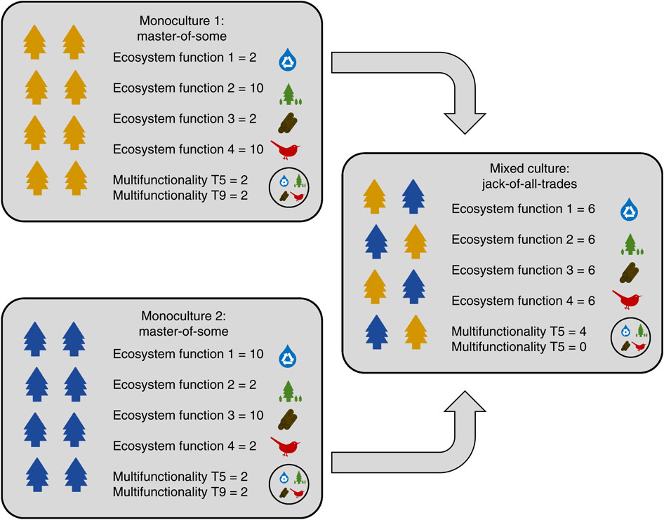 Jack-of-all-trades effects drive biodiversity-ecosystem ...