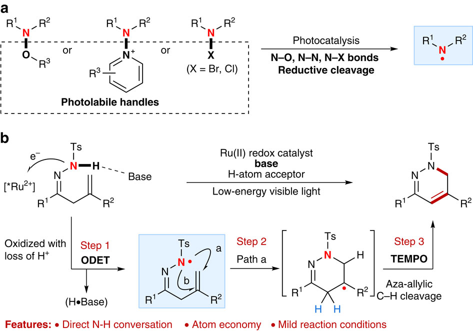 Catalytic N-radical cascade reaction of hydrazones by oxidative ...