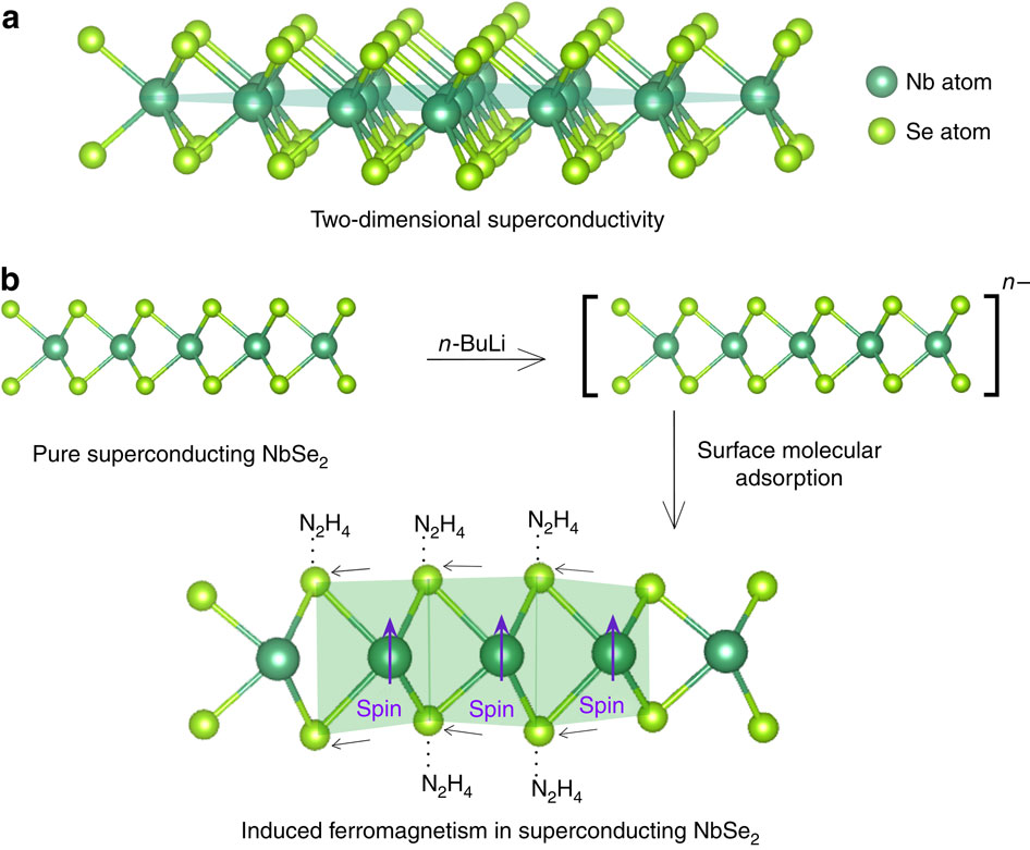 Signature of coexistence of superconductivity and ferromagnetism in two-dimensional NbSe2 ...