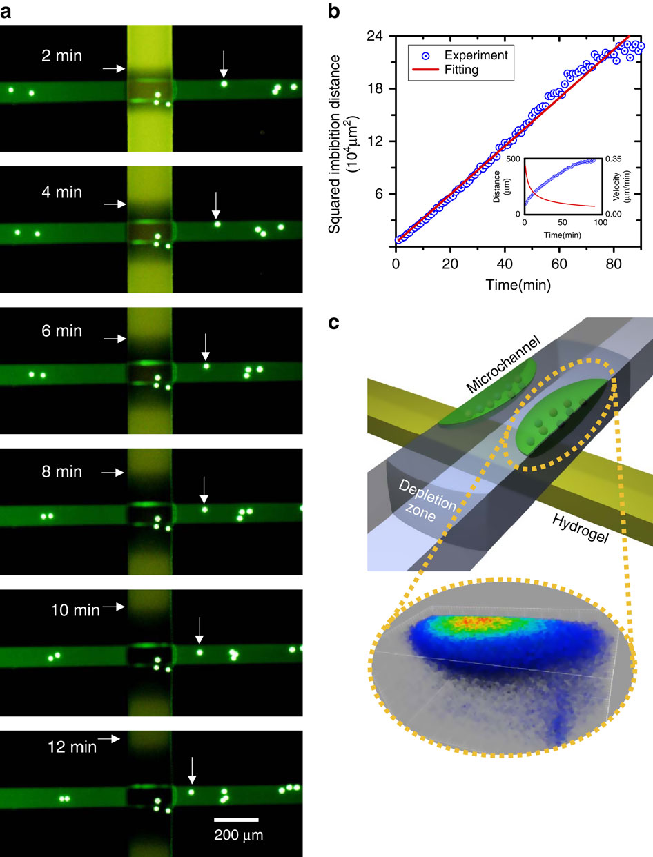 Capillarity ion concentration polarization as spontaneous desalting mechanism.,Nature ...