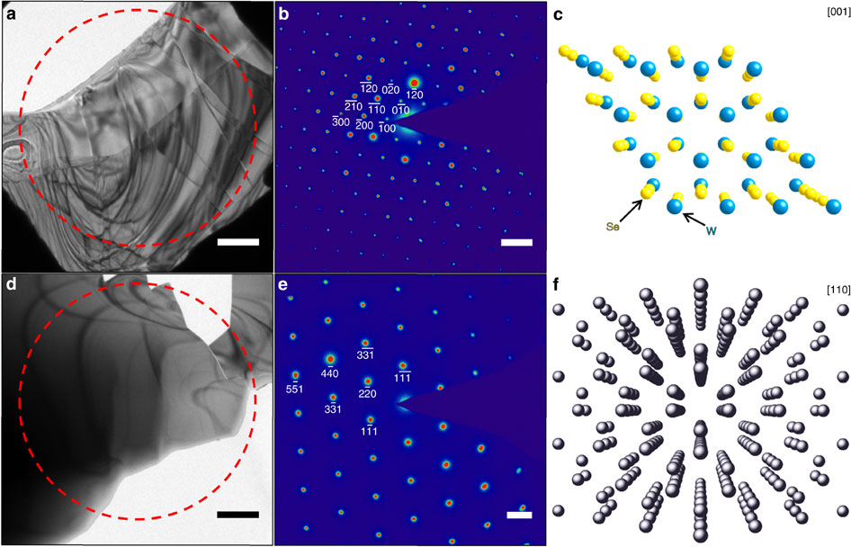 Femtosecond electron imaging of defect-modulated phonon dynamics ...