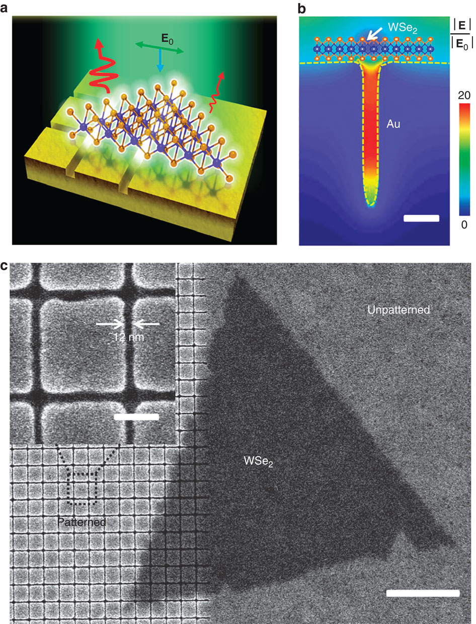 钨-二硒化物-金等离激元杂化结构中的巨光致发光增强。,Nature Communications - X-MOL