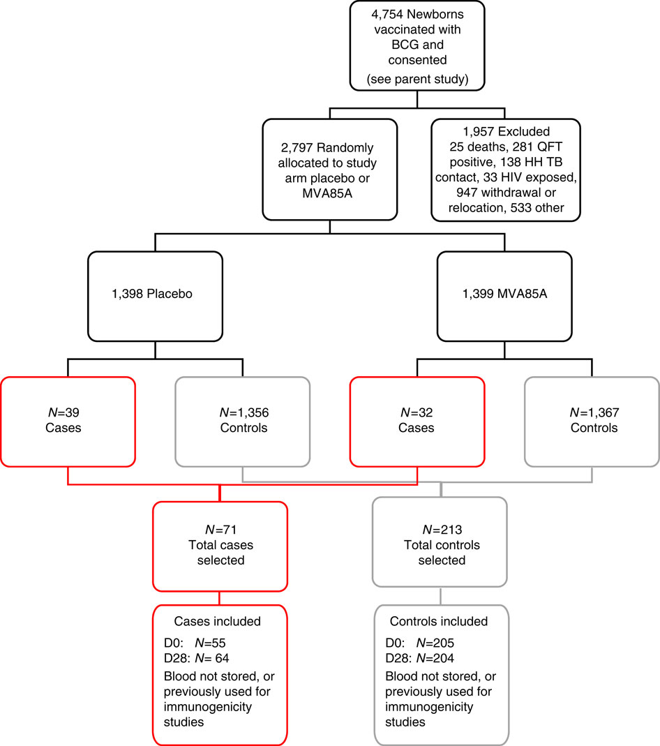 T-cell activation is an immune correlate of risk in BCG vaccinated ...
