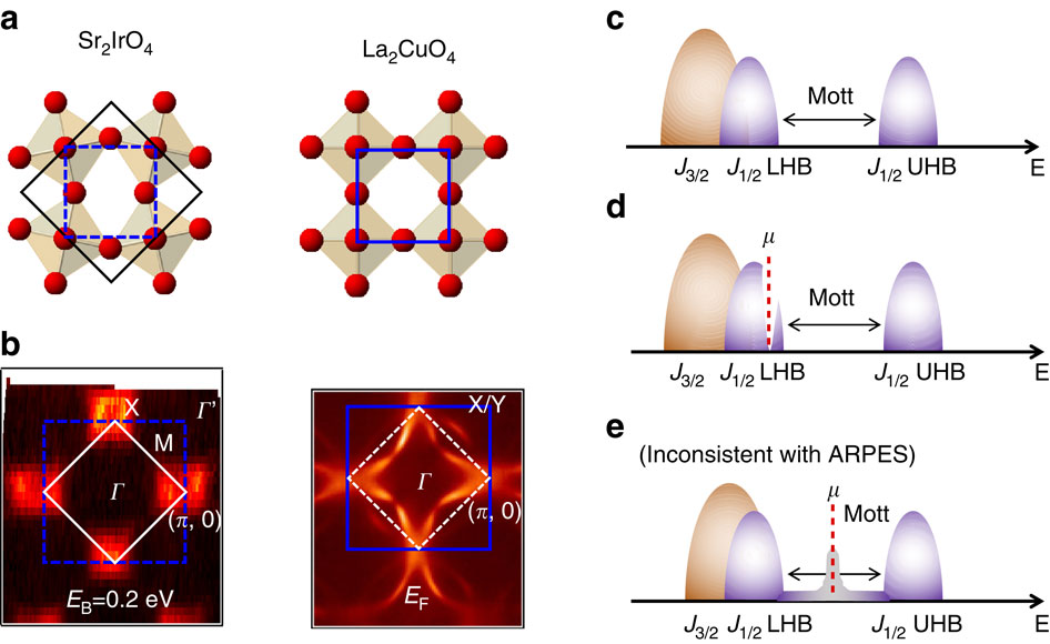Hallmarks of the Mott-metal crossover in the hole-doped pseudospin-1/2 ...