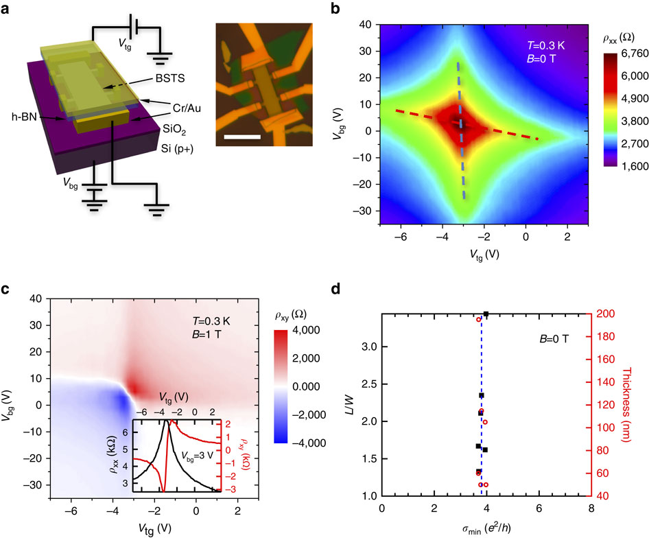 Quantum transport of two-species Dirac fermions in dual-gated three-dimensional topological ...