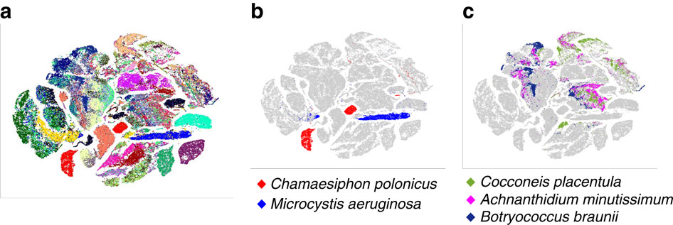 流式细胞仪结合viSNE用于分析微生物生物膜和检测微塑料。,Nature Communications - X-MOL