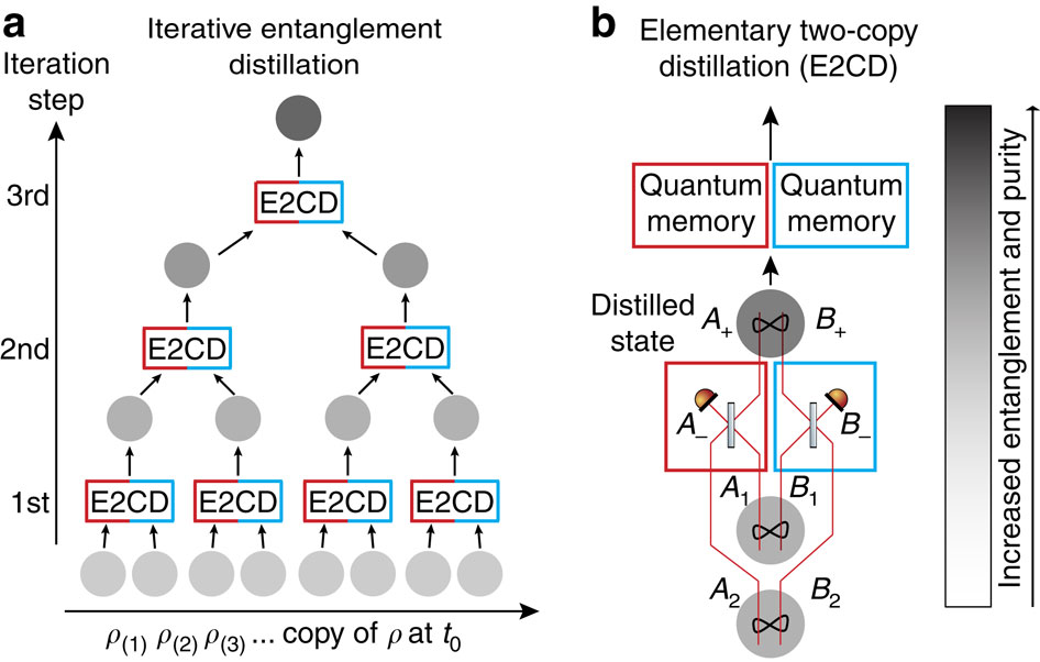 Efficient entanglement distillation without quantum memory.,Nature Communications - X-MOL