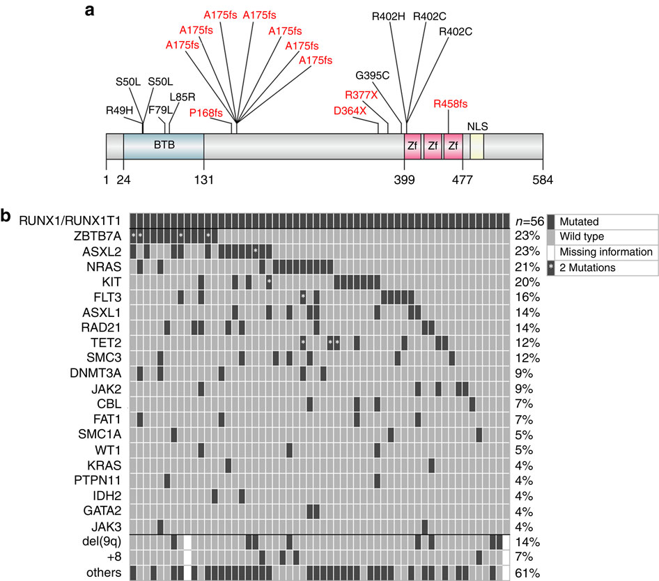 ZBTB7A mutations in acute myeloid leukaemia with t(8;21) translocation.,Nature Communications ...