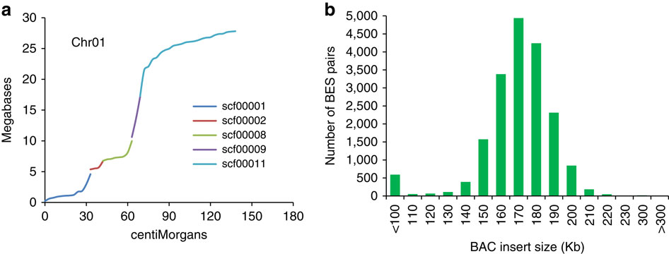 The channel catfish genome sequence provides insights into the ...