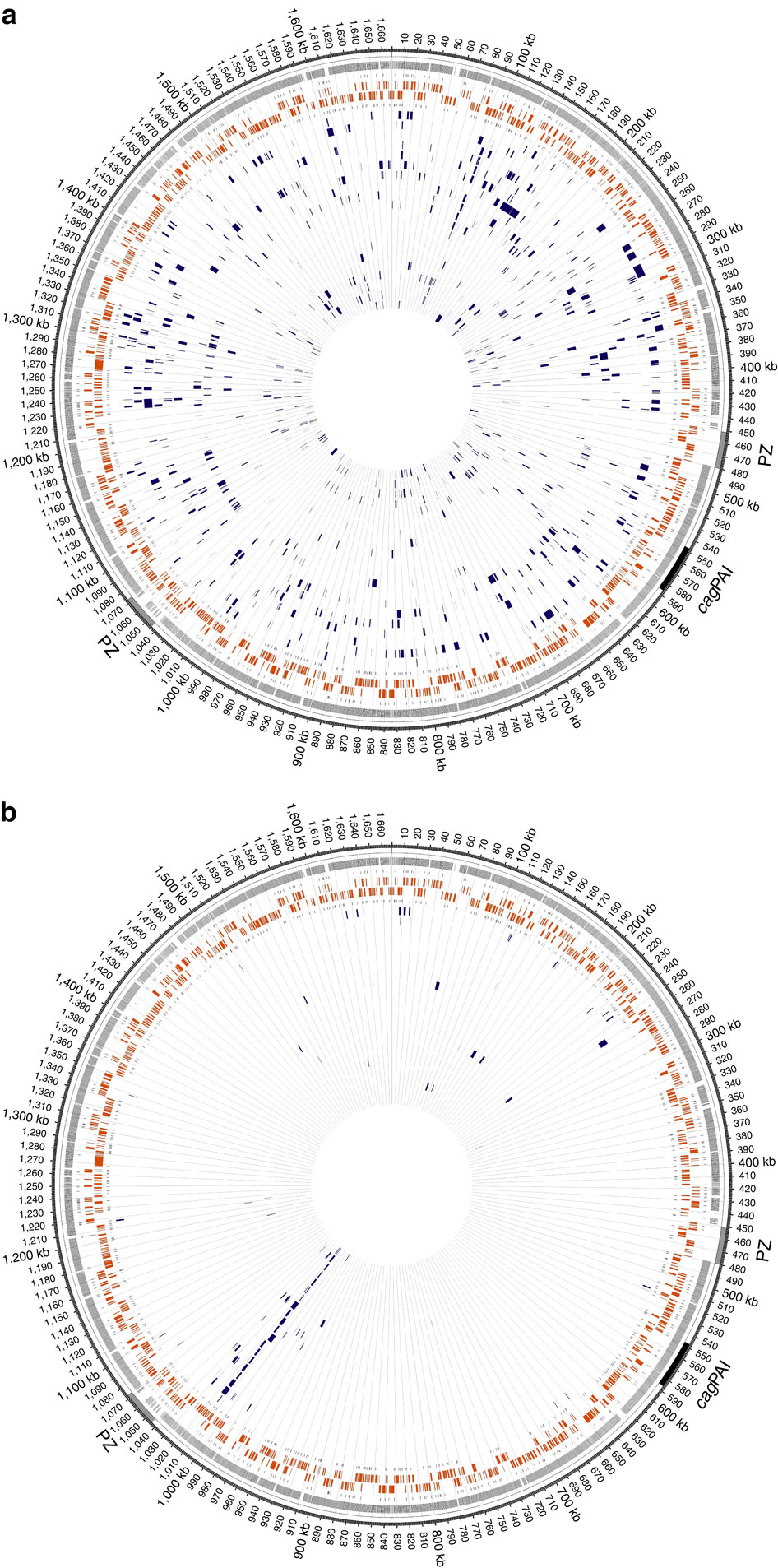 Genome-wide analysis of chromosomal import patterns after natural ...