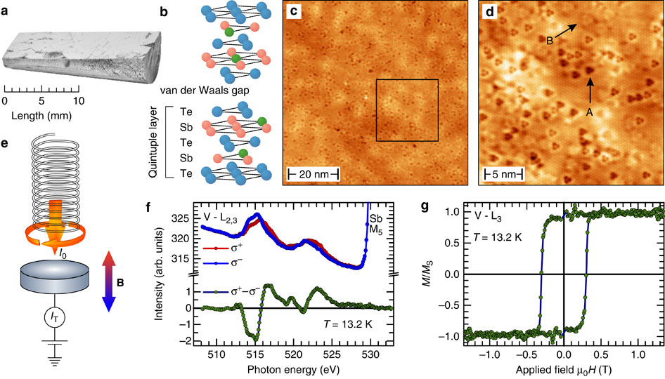Dual nature of magnetic dopants and competing trends in topological ...